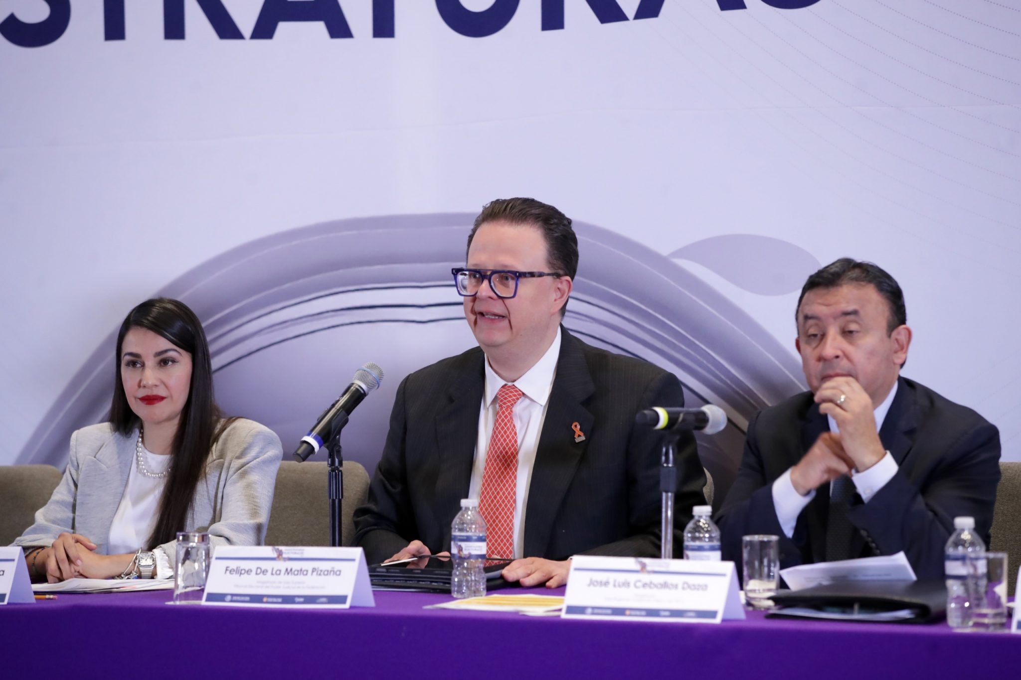 Yolanda Camacho Ochoa, Magistrada del Tribunal Electoral del Estado ...